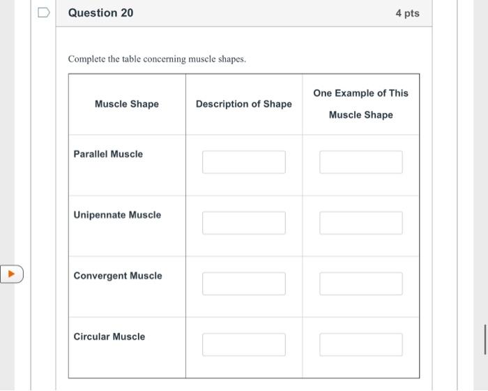 Solved Match each term with its corresponding description. | Chegg.com