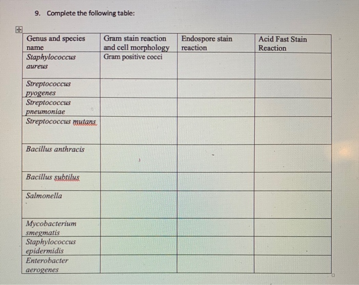Staphylococcus Epidermidis Endospore Stain