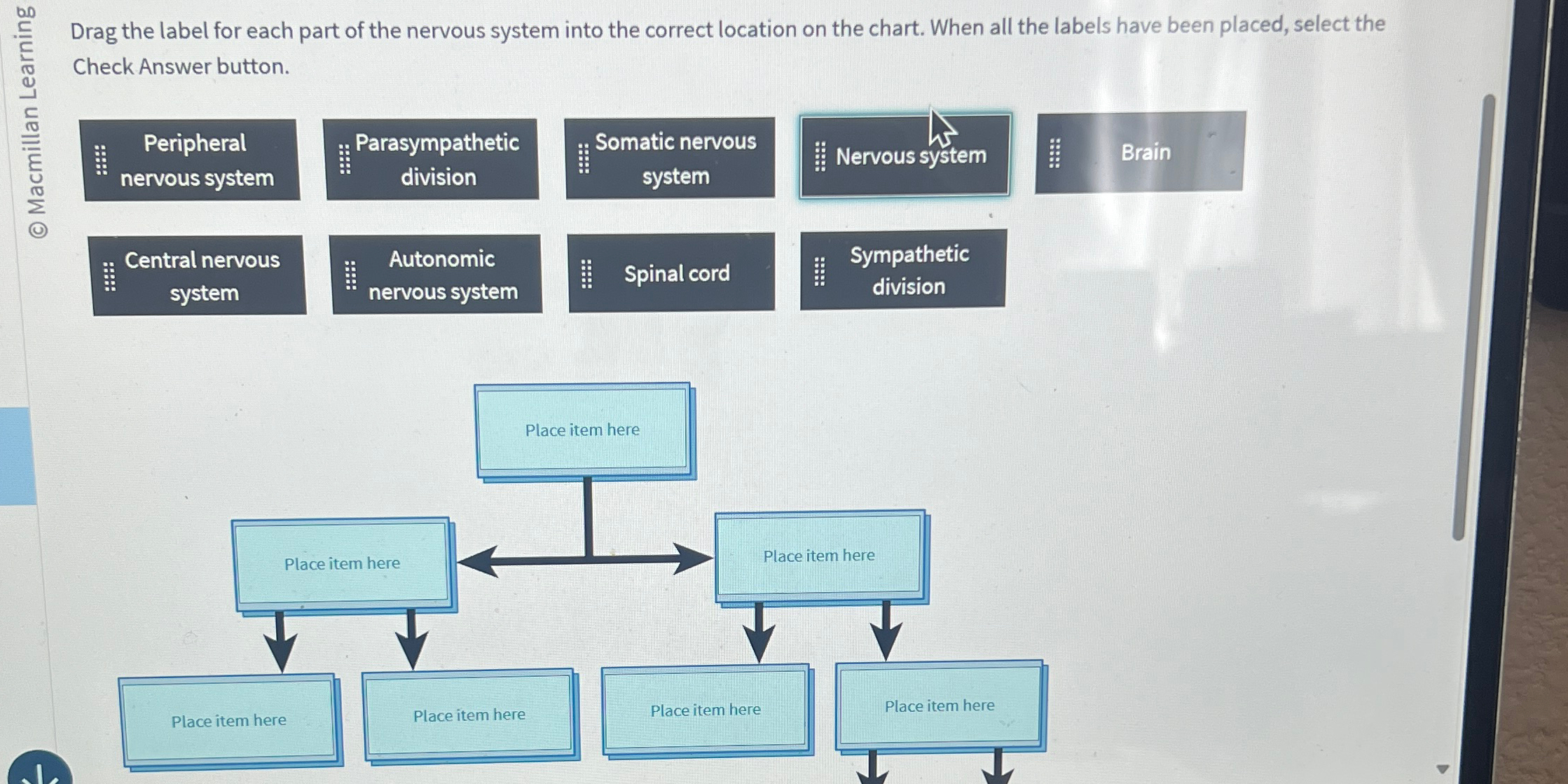 Solved Drag the label for each part of the nervous system | Chegg.com