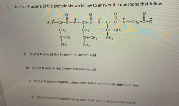 Solved 5. Use the structure of the peptide shown below to | Chegg.com