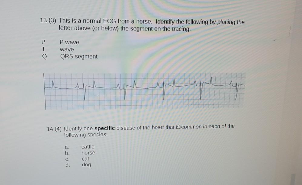 Solved 1.(5) On the ECG pictured below, match the following | Chegg.com