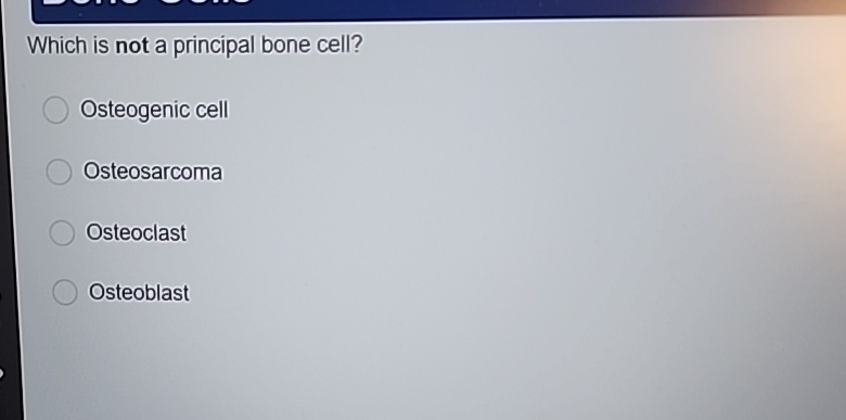 Solved Which is not a principal bone cell?Osteogenic | Chegg.com