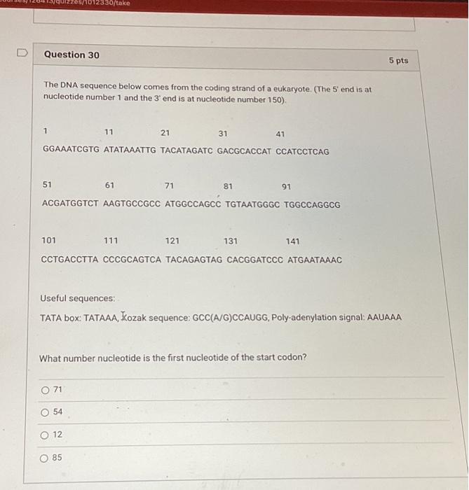 Solved The DNA sequence below comes from the coding strand | Chegg.com