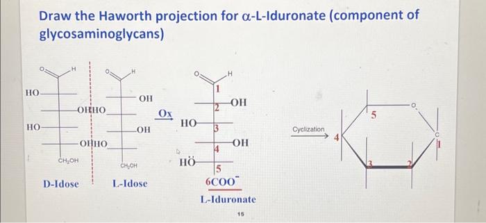 Solved Draw the Haworth projection for α-L-Iduronate | Chegg.com