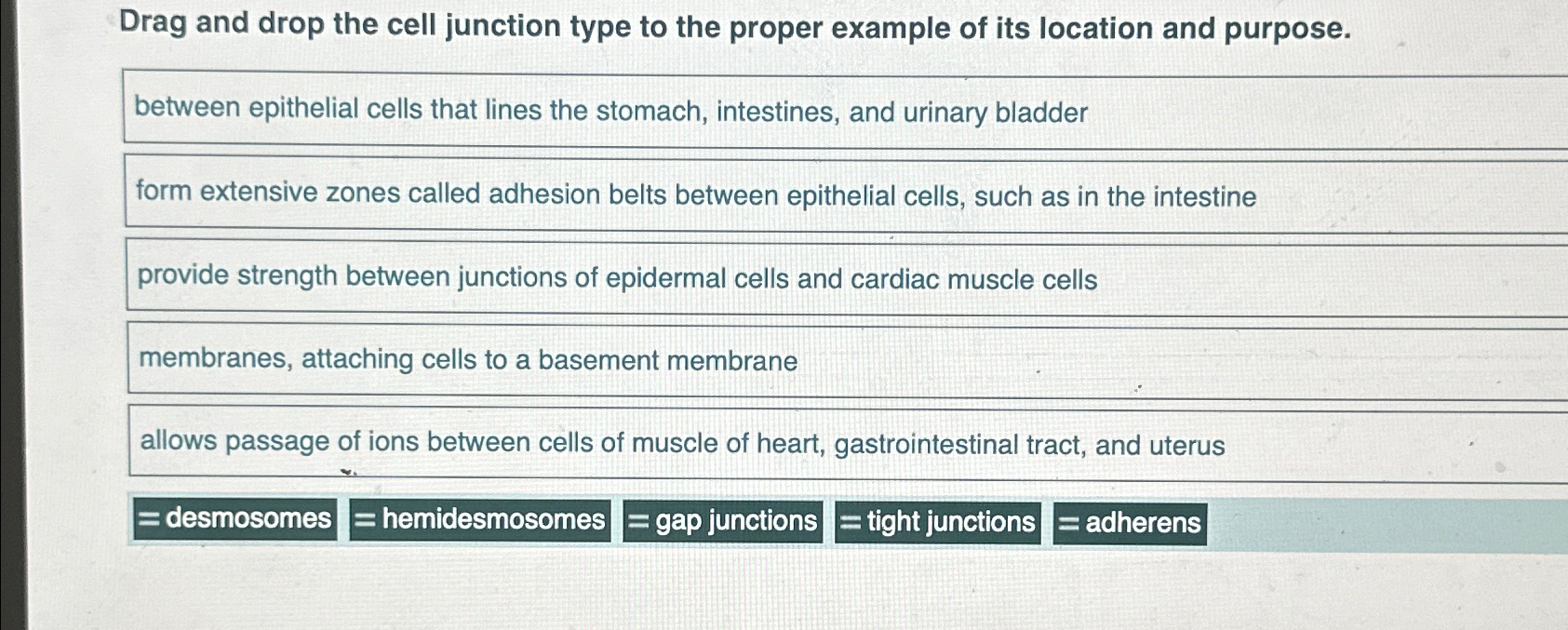 Solved Drag and drop the cell junction type to the proper | Chegg.com