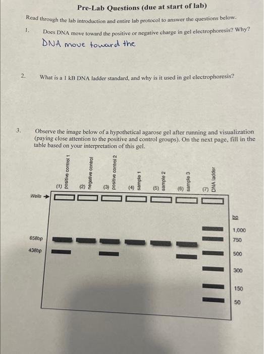 Solved Pre-Lab Questions (due at start of lab) Read through | Chegg.com Solved Pre-Lab Questions (due at start of lab) Read through | Chegg.com