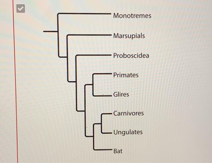 Solved The phylogenetic tree shows a simplified hypothesis | Chegg.com