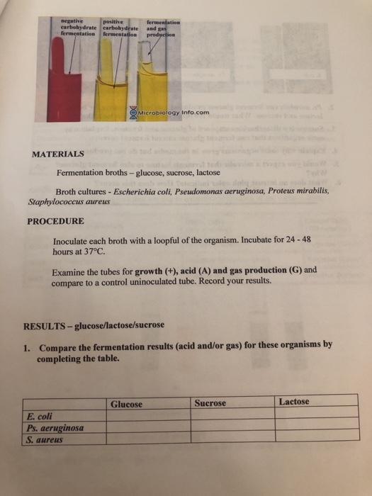 Solved BIOCHEMICAL REACTIONS: Part 1 OBJECTIVES: Students | Chegg.com