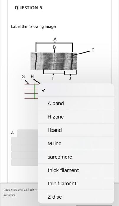 Solved Identify the structures in the following | Chegg.com