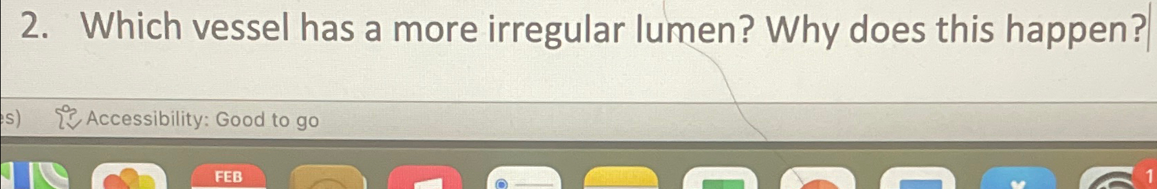 Solved Which vessel has a more irregular lumen? Why does | Chegg.com