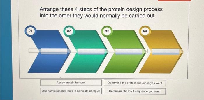 Solved Arrange these 4 steps of the protein design process | Chegg.com