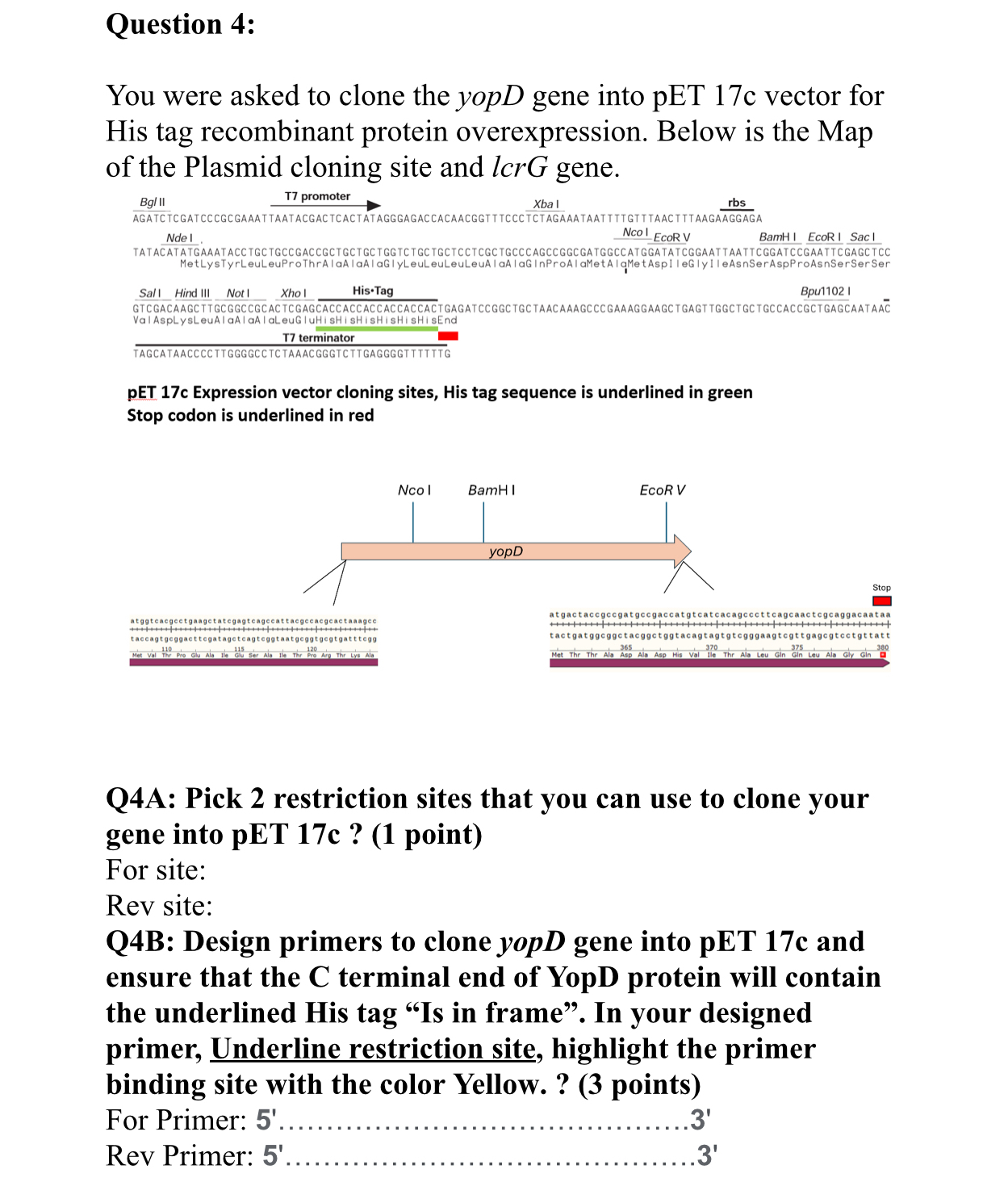 Solved Question 4:You were asked to clone the yopD gene into | Chegg.com