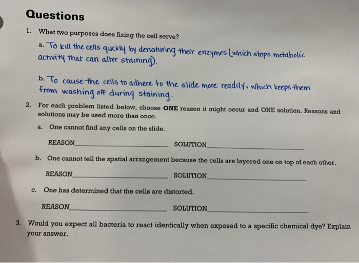 Solved Questions 1. What two purposes does fixing the cell | Chegg.com