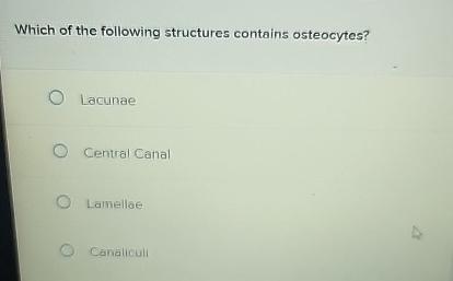 Solved Which of the following structures contains | Chegg.com