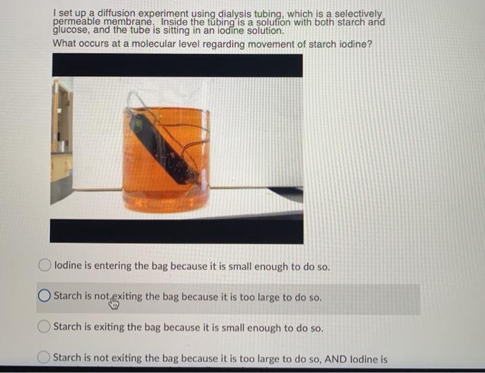 Solved I set up a diffusion experiment using dialysis | Chegg.com
