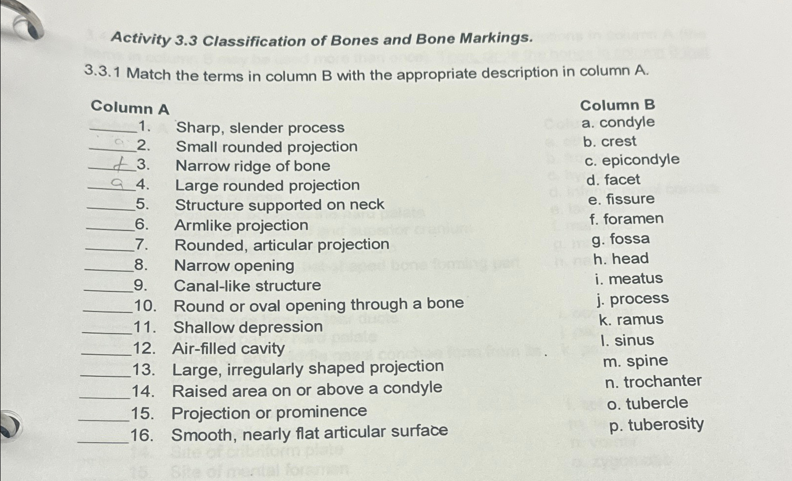 Solved Activity 3.3 ﻿Classification of Bones and Bone | Chegg.com
