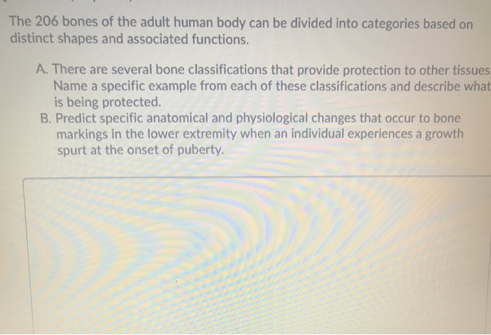 Solved The 206 bones of the adult human body can be divided | Chegg.com