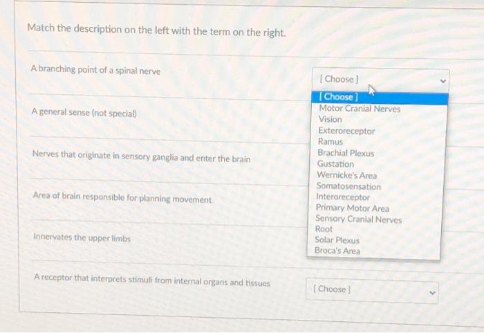 Solved Match the description on the left with the term on | Chegg.com