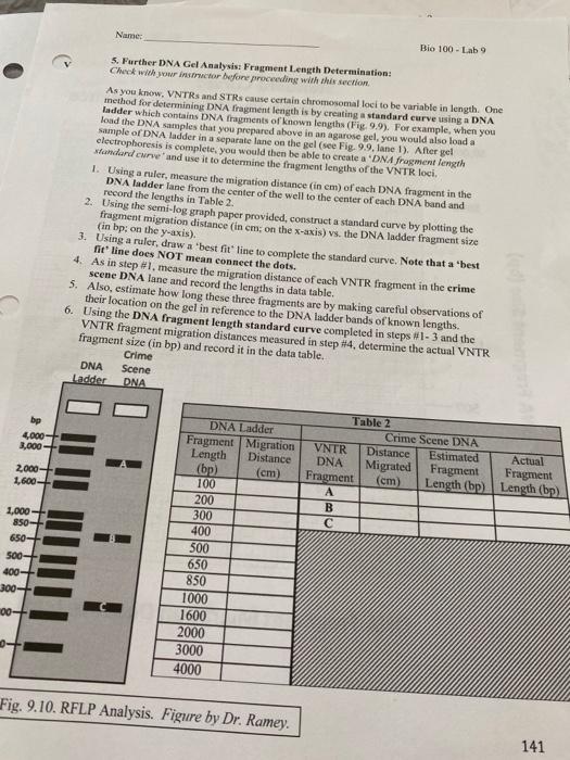 Name: Bio 100 - Lab 9 VI. Post-Lab Questions 1. Based | Chegg.com