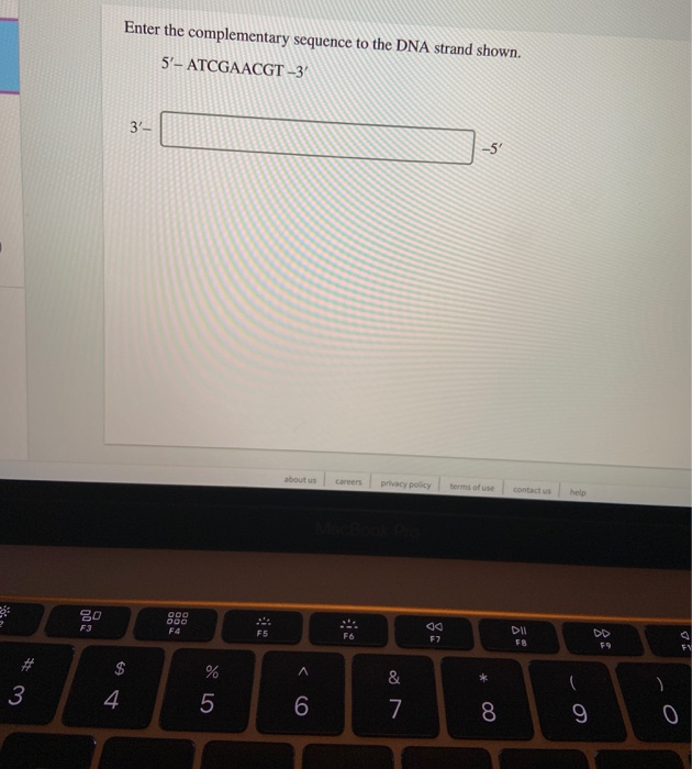 Solved Enter the complementary sequence to the DNA strand | Chegg.com