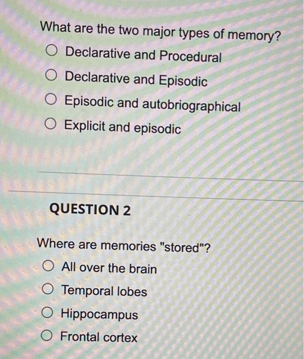 Solved What are the two major types of memory? Declarative | Chegg.com