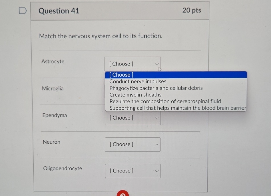 Solved Question 4120 ﻿ptsMatch the nervous system cell to | Chegg.com