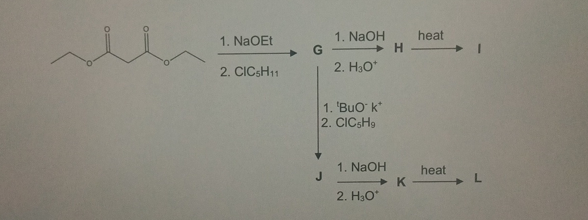 Solved 1. ﻿NaOEt2. ﻿CICsH11G1. ﻿NaOHJ+H2. ﻿Hs0*1. ﻿'BuOk*2. | Chegg.com