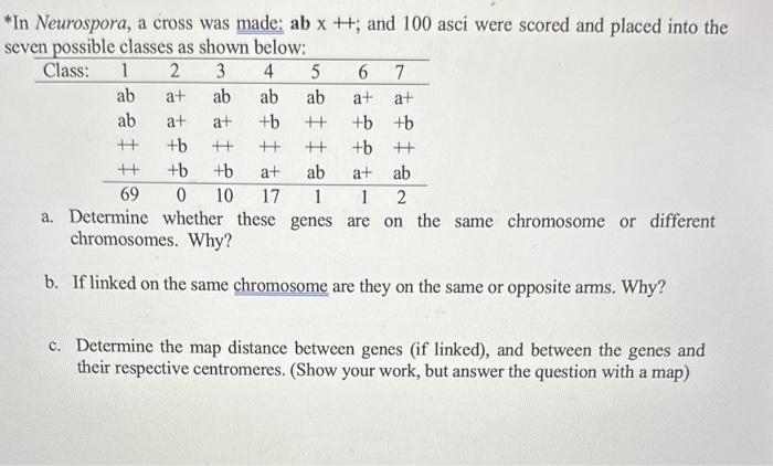 Solved In Neurospora, a cross was made: ab x++; and 100 asci | Chegg.com