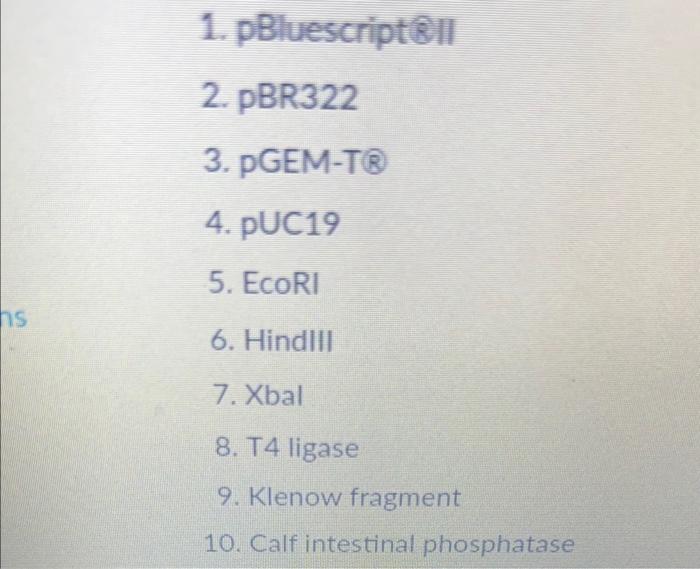 1. pBluescript\&II 2. pBR322 3. pGEM−T(B) 4. pUC19 5. | Chegg.com