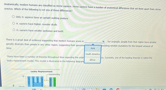 Solved Anatomically, modern humans are classified as Homo | Chegg.com