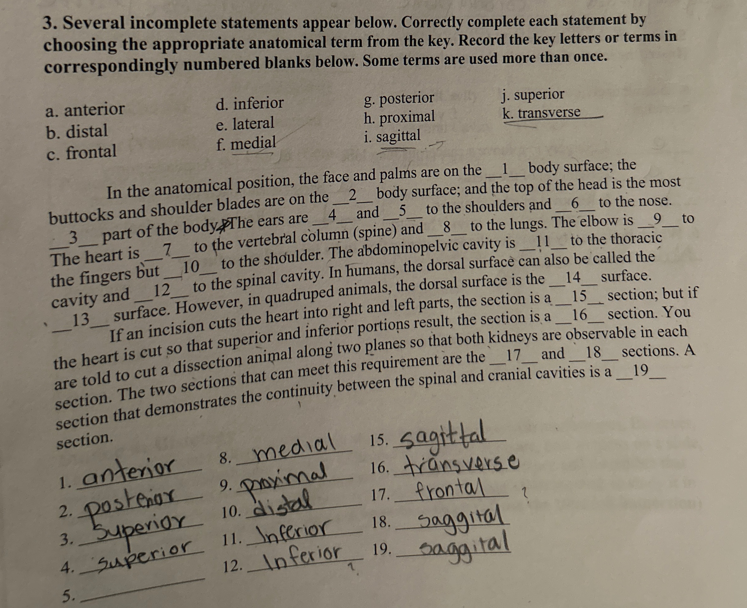 Solved Several incomplete statements appear below. Correctly | Chegg.com