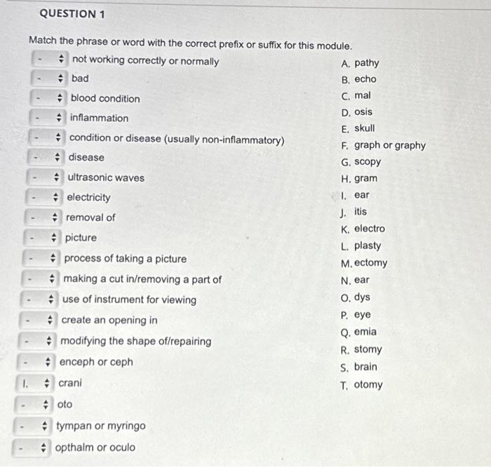 Solved QUESTION 1 Match the phrase or word with the correct | Chegg.com
