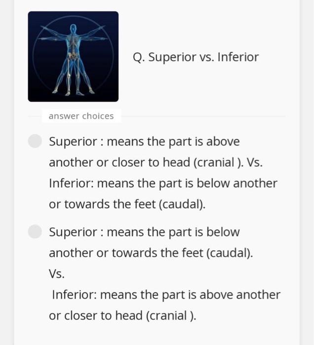 Solved Q. Superior vs. Inferior answer choices Superior: | Chegg.com