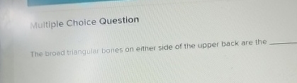 Solved Multiple Choice QuestionThe broad triangular bones on | Chegg.com