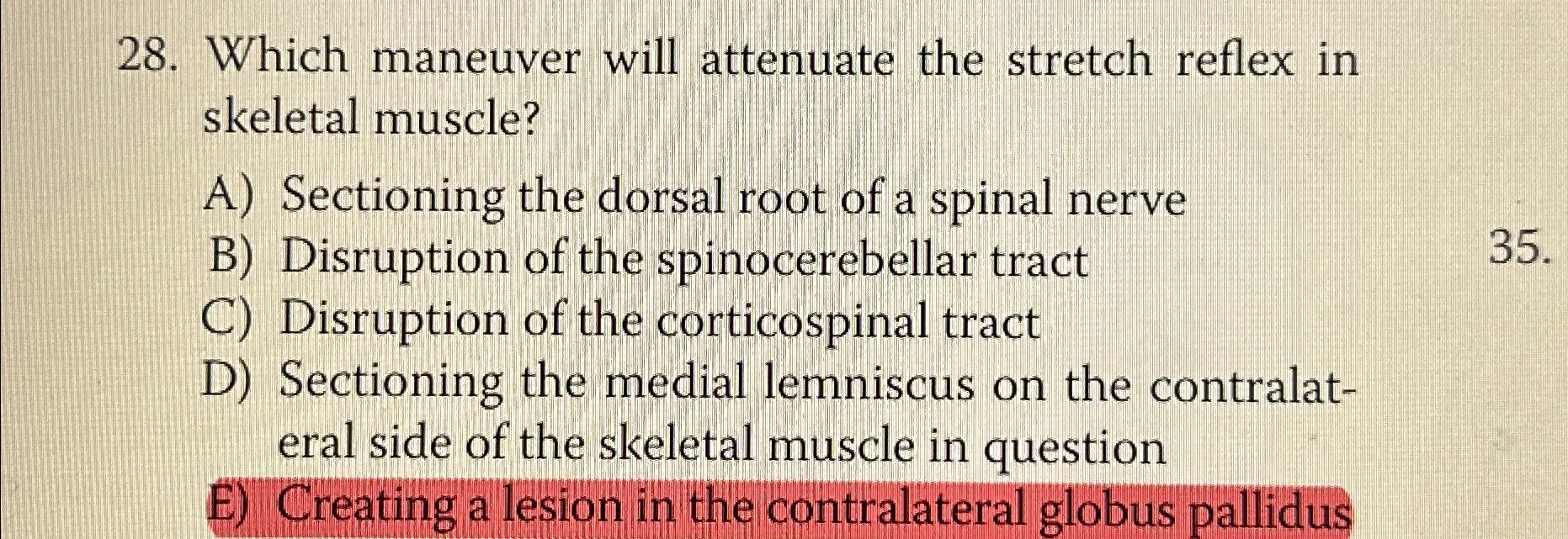 Solved Which maneuver will attenuate the stretch reflex in | Chegg.com