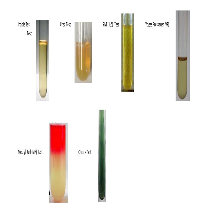 Solved ANSWER THESE FOR THE UNKNOWN SAMPLES GIVEN ! include: | Chegg.com