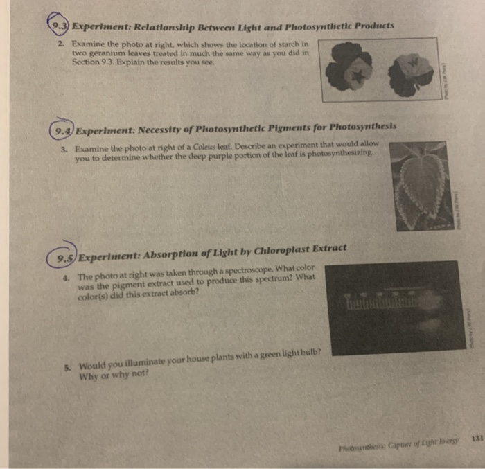 Solved 3) Experiment: Relationship Between Light and | Chegg.com