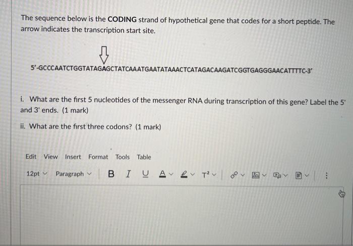 Solved The sequence below is the CODING strand of | Chegg.com