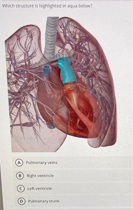 Solved Plese answer ALL of the following ASAP and will | Chegg.com