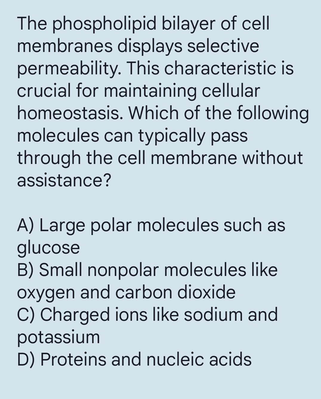 Solved The phospholipid bilayer of cell membranes displays | Chegg.com
