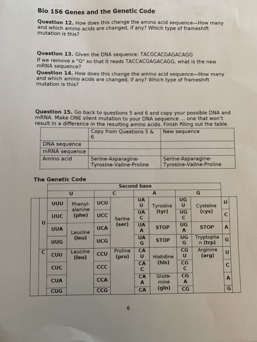 Solved Mutation Questions Following a mutation event, which | Chegg.com
