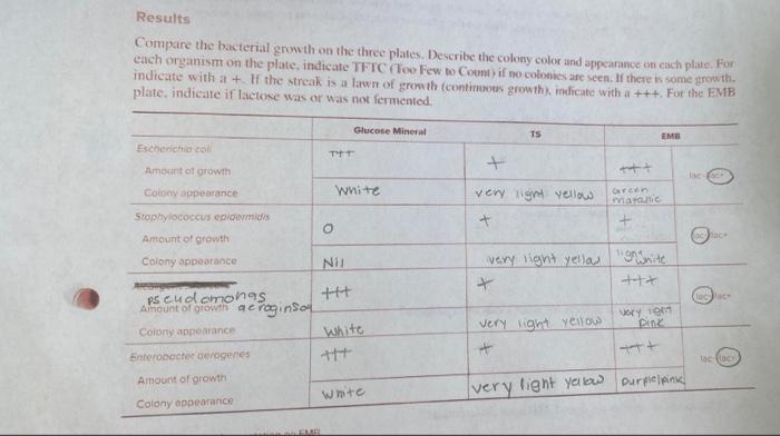 Solved GSA plate -observe the growth of each organism on the | Chegg.com