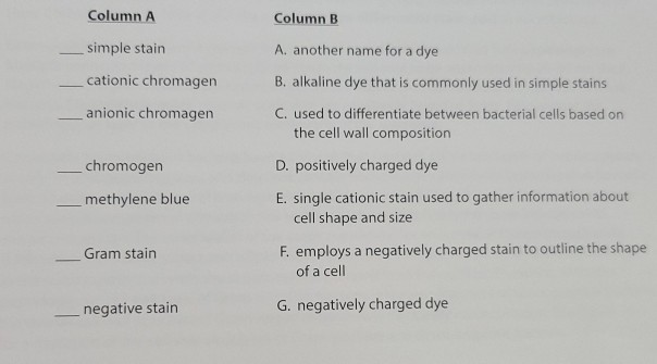 Solved Column A Column B simple stain cationic chromagen A. | Chegg.com