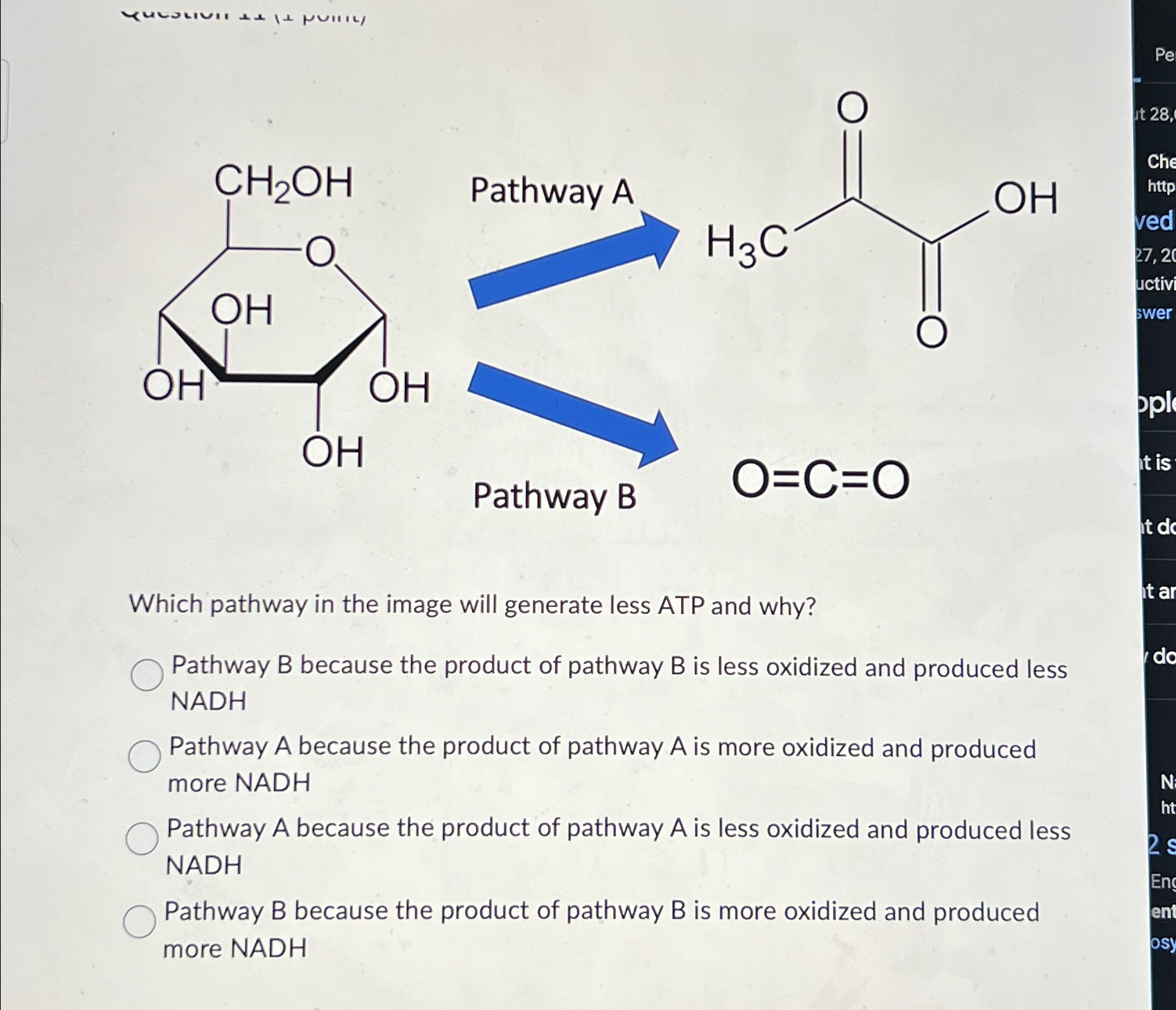Solved Pathway AO=C=OWhich pathway in the image will | Chegg.com