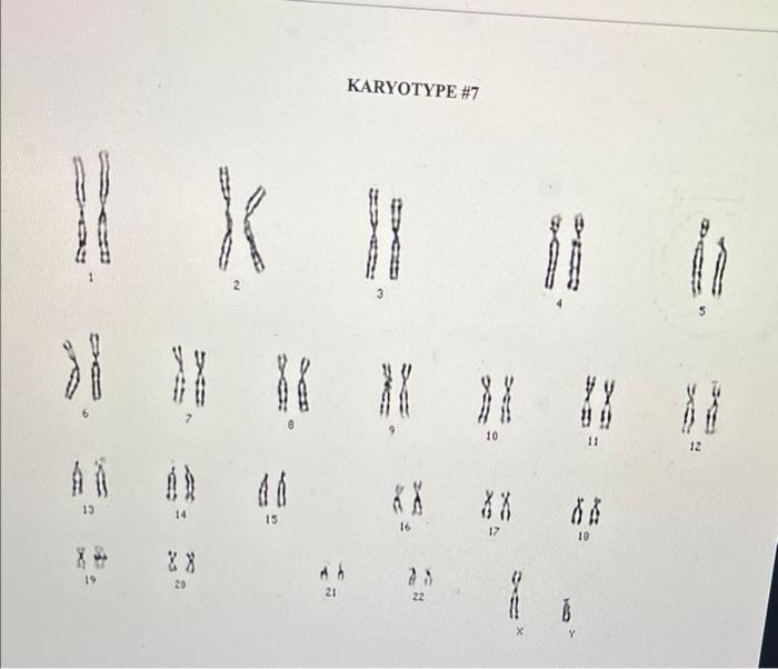 Solved 6. Examine the following karyotypes and answer the | Chegg.com