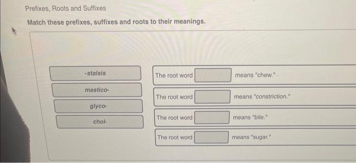 Solved Prefixes, Roots and Suffixes Match these prefixes, | Chegg.com
