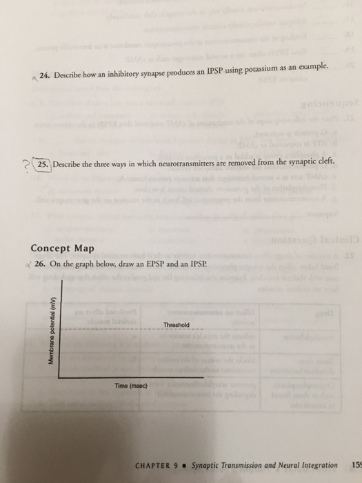 Solved 24. Describe how an inhibitory synapse produces an | Chegg.com