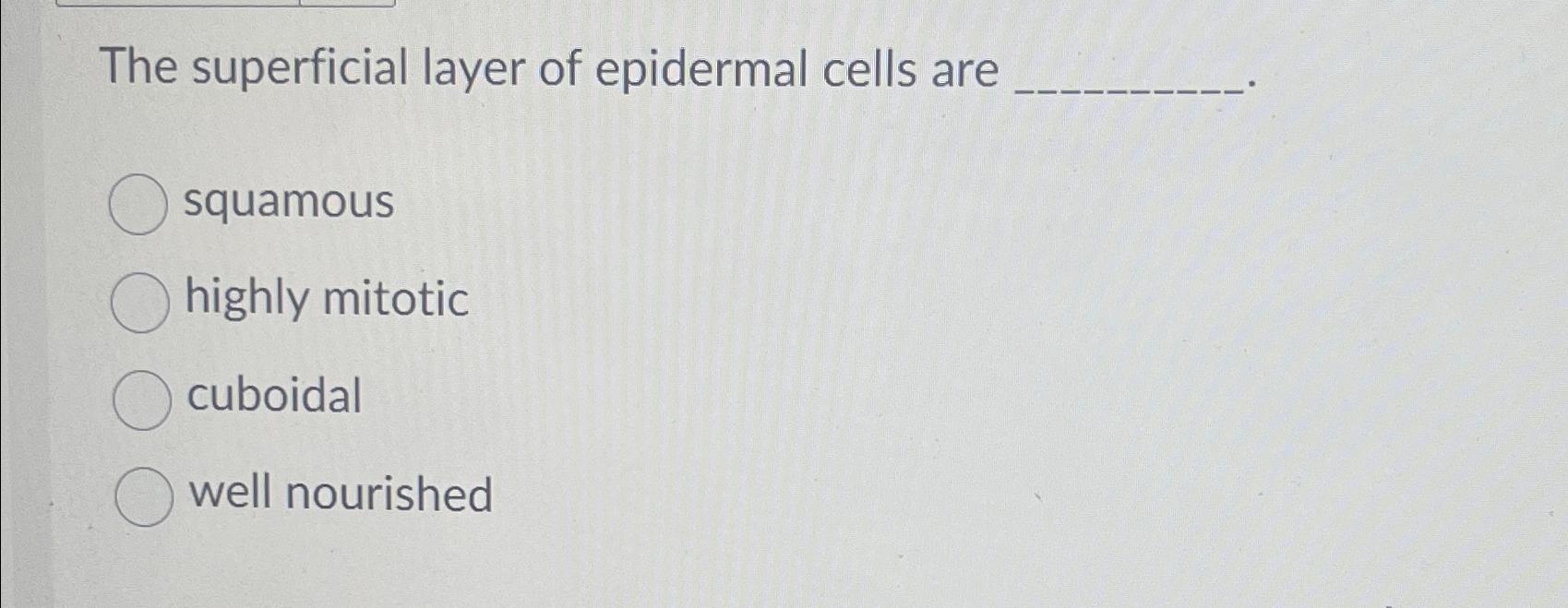 Solved The superficial layer of epidermal cells | Chegg.com