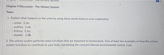 Solved Tasks: 1. Explain what happens to the urine by using | Chegg.com