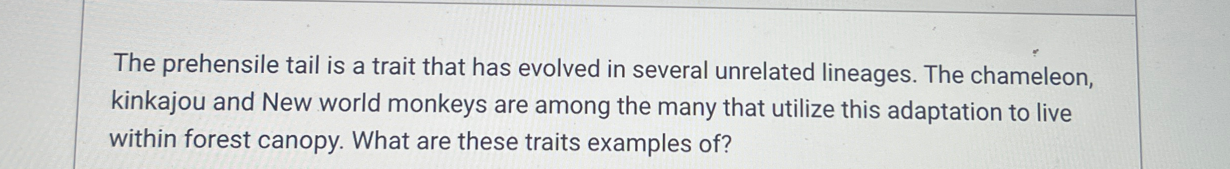 Solved The prehensile tail is a trait that has evolved in | Chegg.com